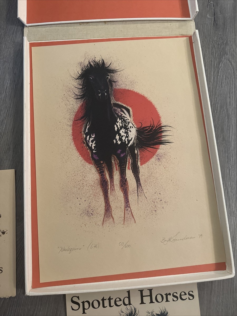 Spotted Horse Tattoos Appaloosa With 'Leopard Spots' Is So 'Chill' He