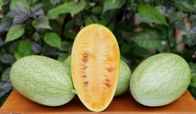RARE Japanese Heirloom Kaho Watermelon 10 Seeds Great Flavor | eBay