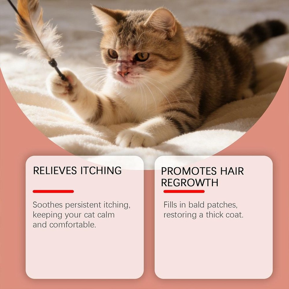 Cat Skin Relief Chewable Tablets- Itch & Skin Relief Formula- 60 Count ...