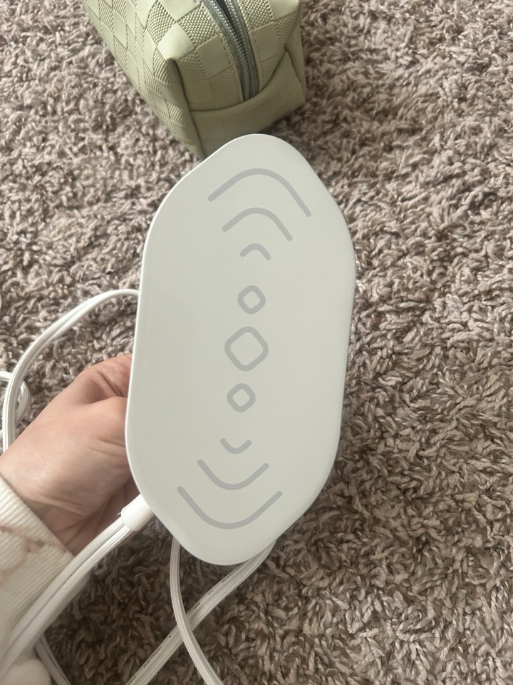 Travel Iron with Dual Voltage - 120V/220V Lightweight Dry for Clothes ...