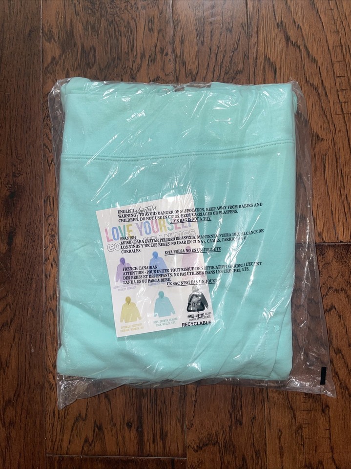 Yours Truly Phora Love Yourself Hoodie Pastel Mint LIMITED EDITION Size ...