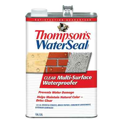 Thompson's WaterSeal Multi-Surface Waterproofer, Clear, 1 Gallon,Father ...