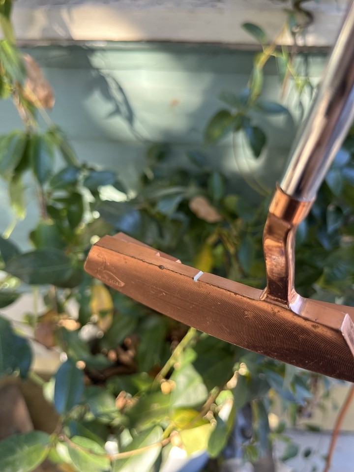Ray Cook Blue goose II Copper Putter 36” | eBay
