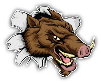 Cartoon Mean Boar Mascot Car Bumper Sticker Decal - ''SIZES'' | eBay