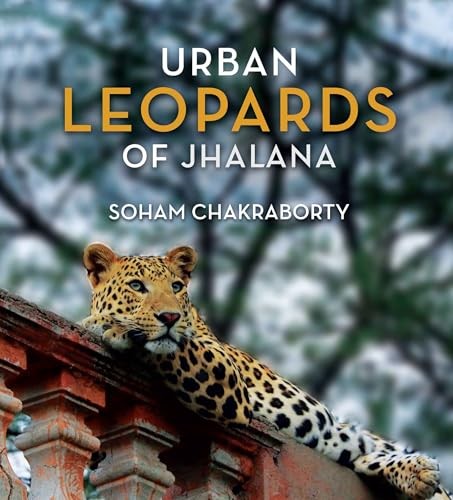 Urban Leopards of Jhalana by Soham Chakraborty 9788119626021 | eBay UK