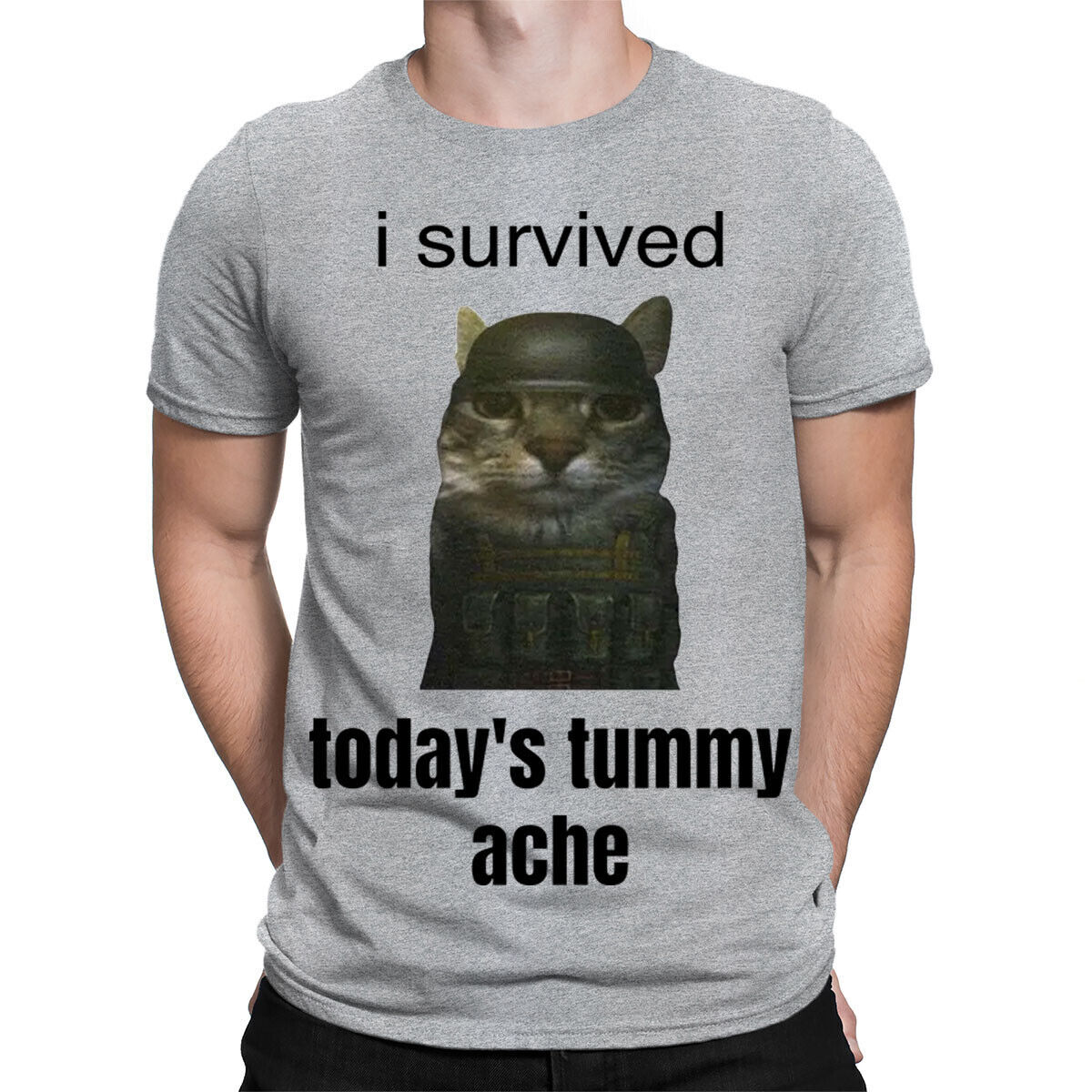 Colonel Cat Memes I Survived Today's Tummy Ache Sarcastic Army Cat