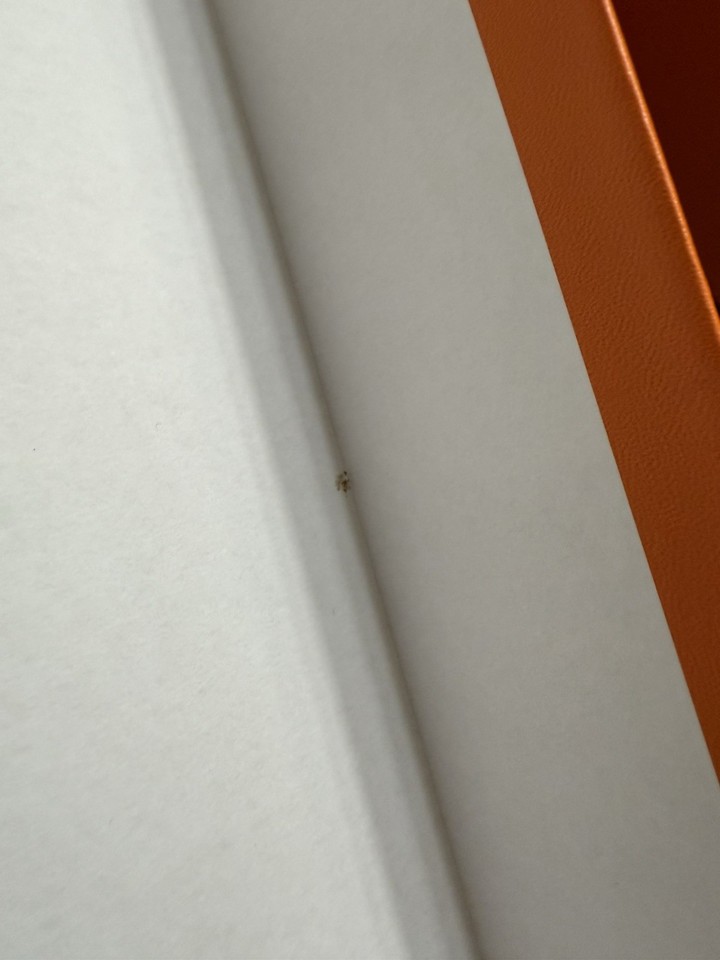 🔥 Authentic Hermes Box 079 – Large Orange Box 15.35"x13.78"x7.48" with ...