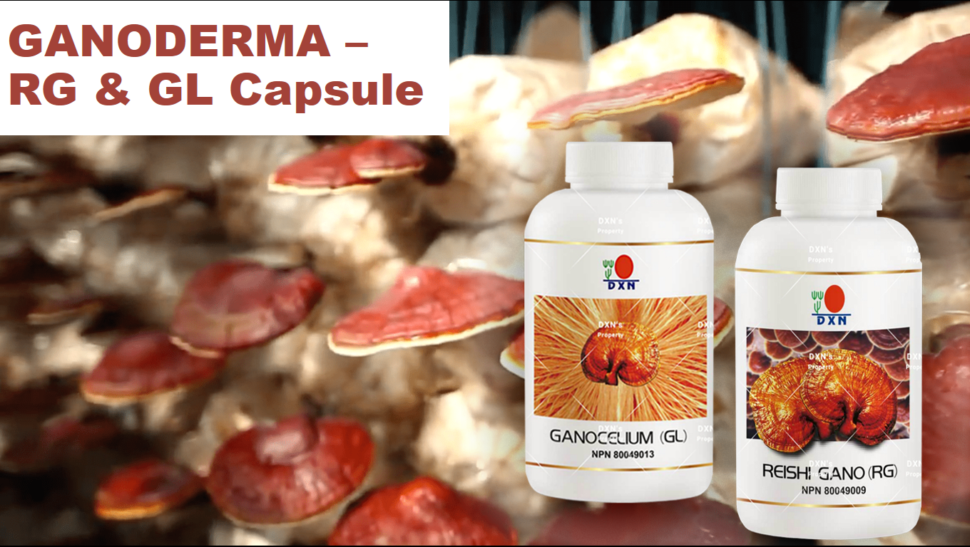 DXN Reishi Gano ( Rg ) 360 + DXN Ganocelium ( Gl Cápsulas | eBay