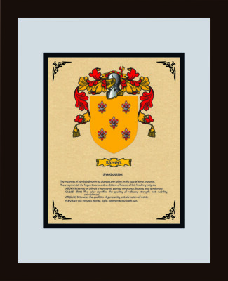 HERALDRY COAT OF ARMS ~ RANGEL FAMILY CREST ~ FRAMED | eBay