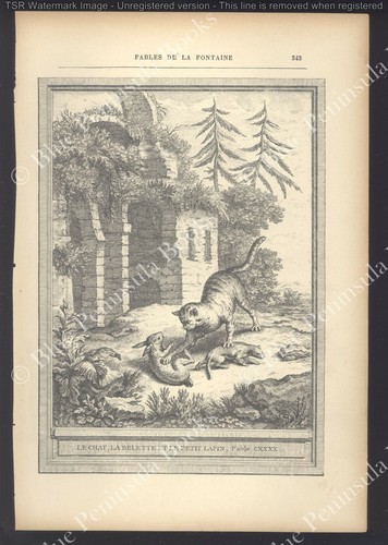 GRAVURE Fables de La Fontaine OUDRY Le chat la belette et le petit ...