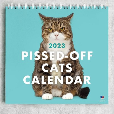 Year's Gifts Office Calendar 2023 Calendar Art Moon Calendar Funny Cat ...