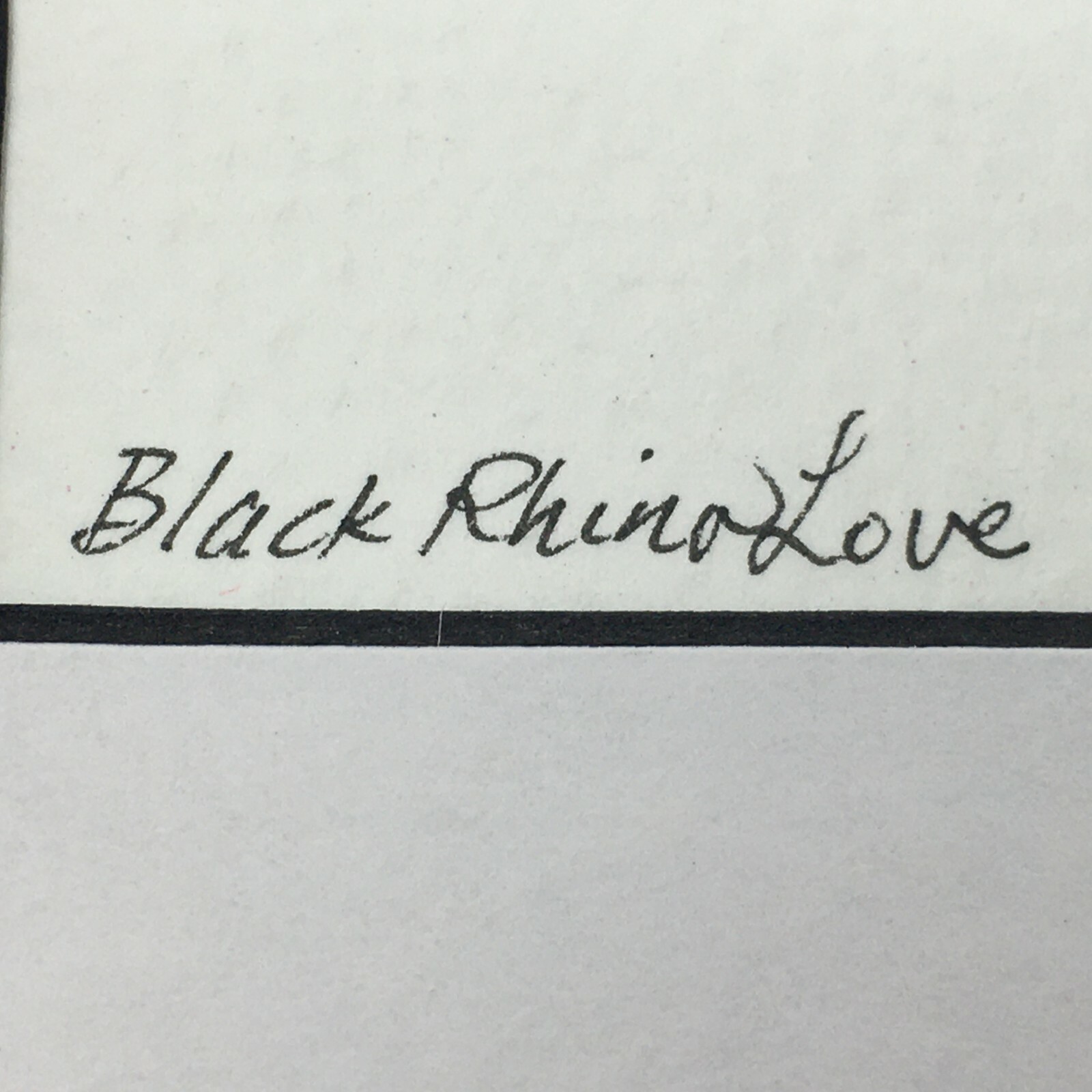 Black Rhino Love PNW Art Painting Print By Amanda Gamble 11x14 Matted ...