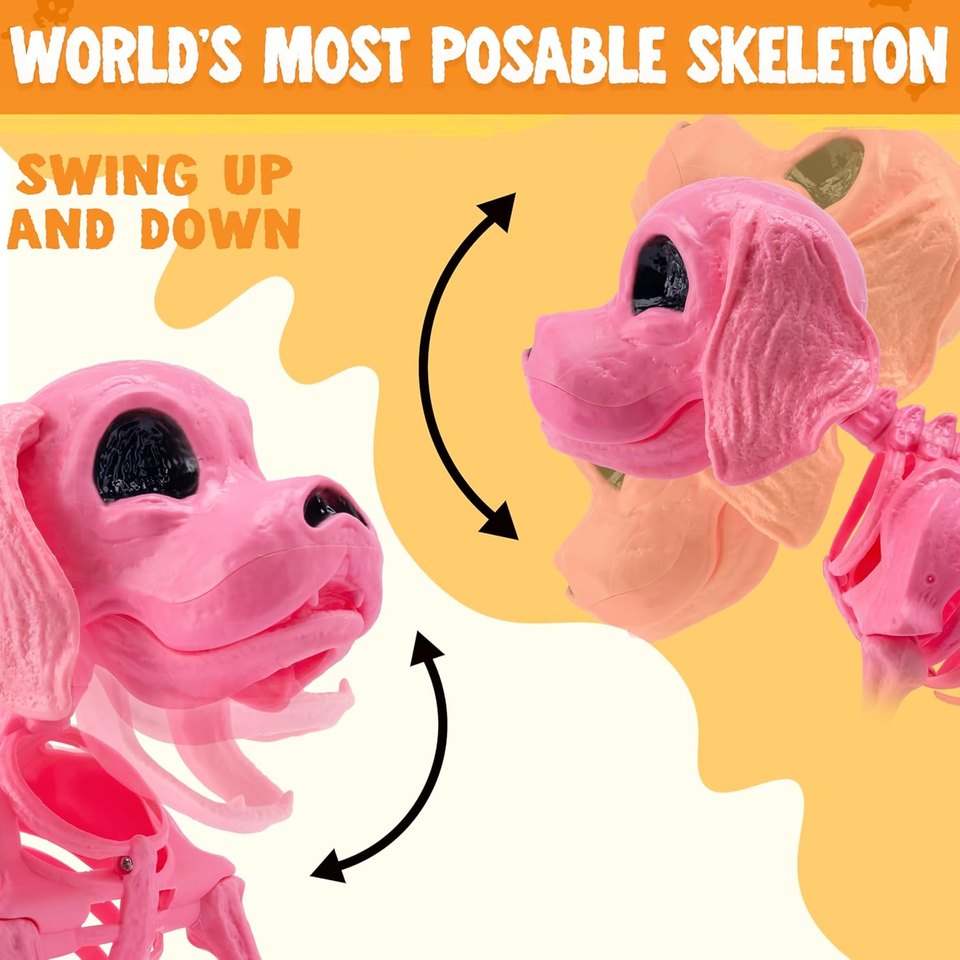 Posable Dog Skeleton Halloween Decoration Full Body Movable Joints ...
