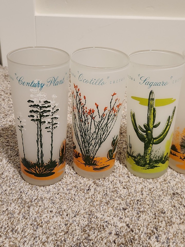 VTG Blakely Oil & Gas Arizona Cacti Cactus 2 Pitchers & 9 Glasses & 4 ...