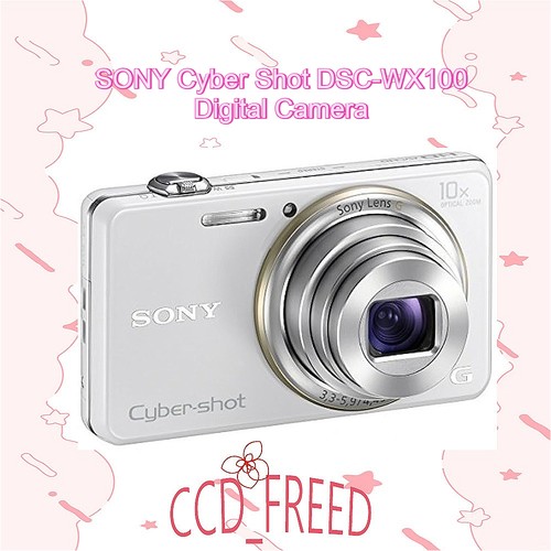 SONY Cyber Shot DSC-WX100 Digital Camera 18.2MP 10xOptical Zoom Auto ...