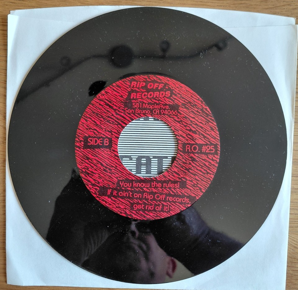 REGISTRATORS - TV HELL, 7" vinyl 1997 Rip Off records. Garage Punk ...