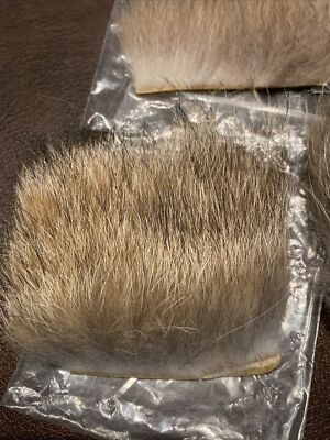 Southwest Michigan Coyote Hair 2-2 1/2”, Natural Fly Tying Material | eBay