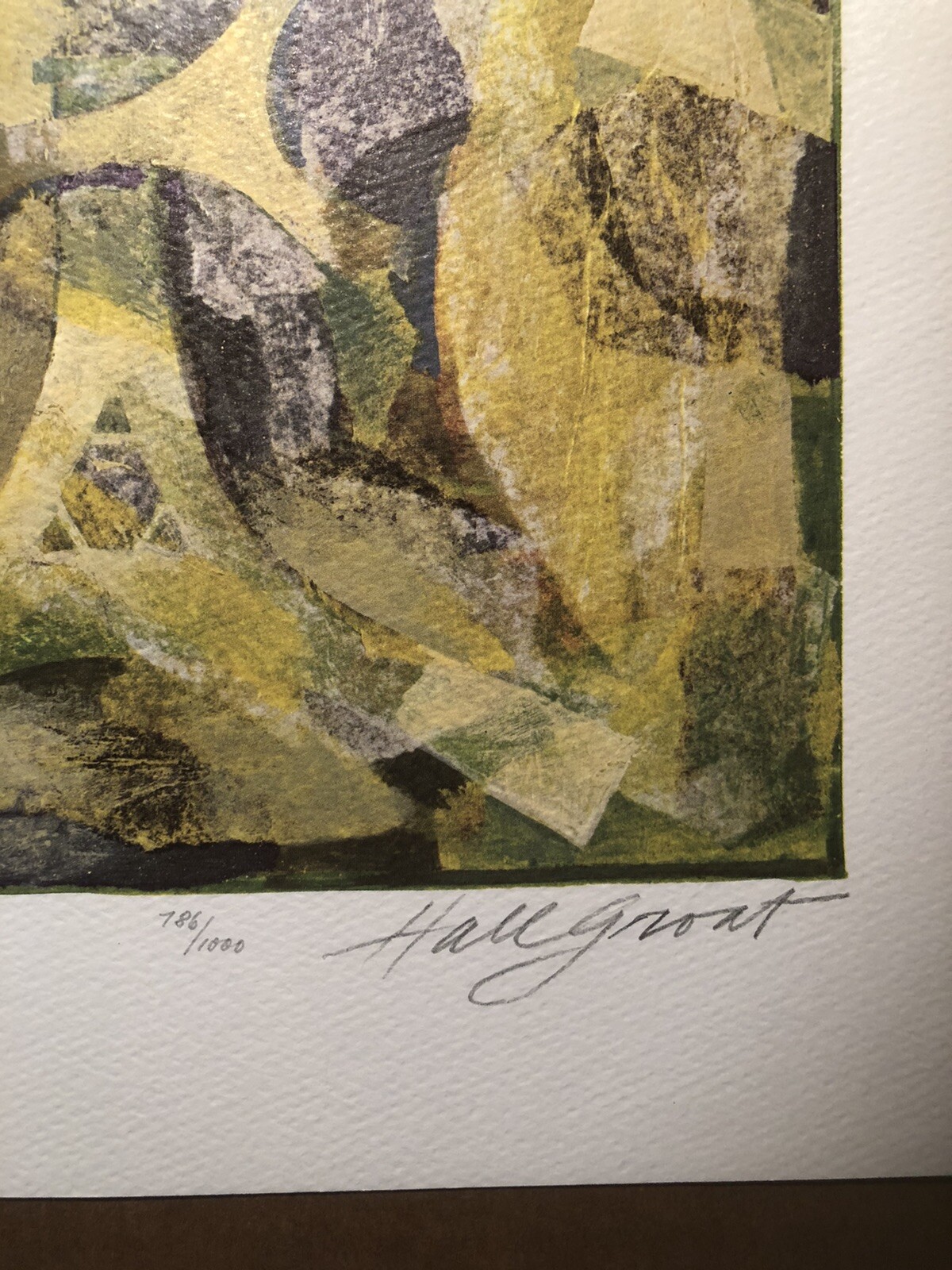 HALL GROAT - UNITED NATIONS (WFUNA) ART GRAPHIC 1979 - “VIENNA INT’L ...