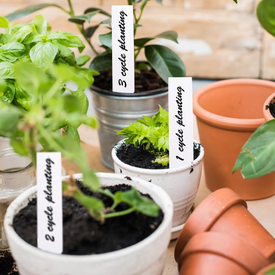 300 Pcs Plant Labels 4 Inch Plastic Plant Name Tags for Seedlings ...