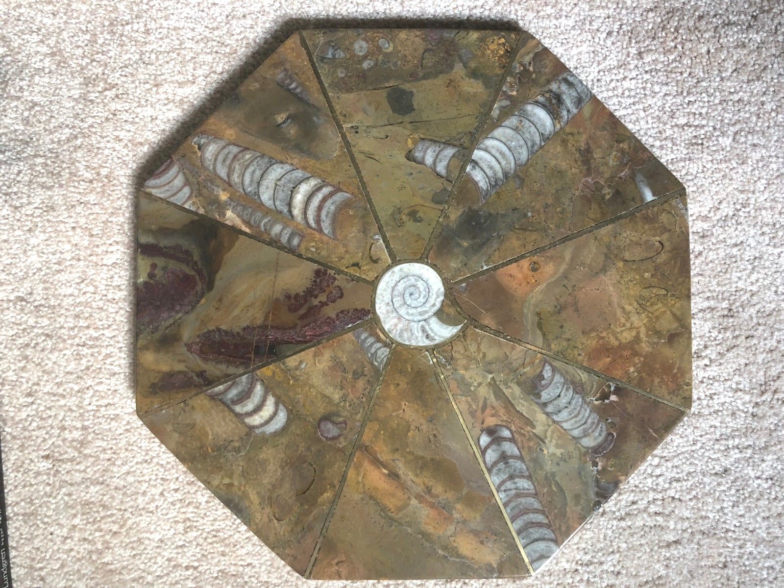 Ammonite Orthoceras Fossil Table Top Tabletop Nightstand 12-1/4" Inlay ...