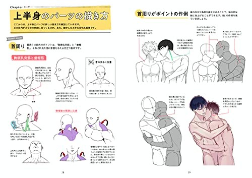 BL drawing basics and techniques: How to draw muscles -Japanese Craft ...