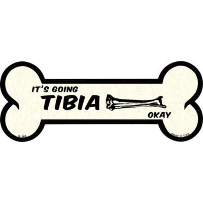 Tibia Novelty Metal Bone Magnet | eBay