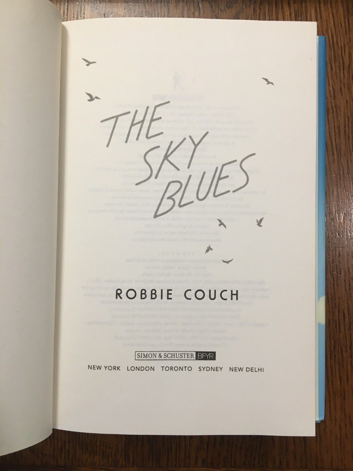 The Sky Blues - Robbie Couch (2021, Hardcover) YOUNG ADULT LGBT ROMANCE ...