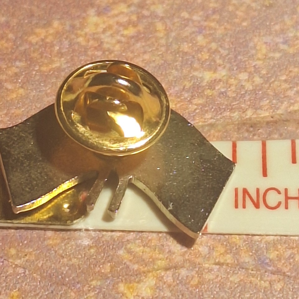 AIR FORCE SERGEANT ASSOCIATION AUXILIARY PIN | eBay