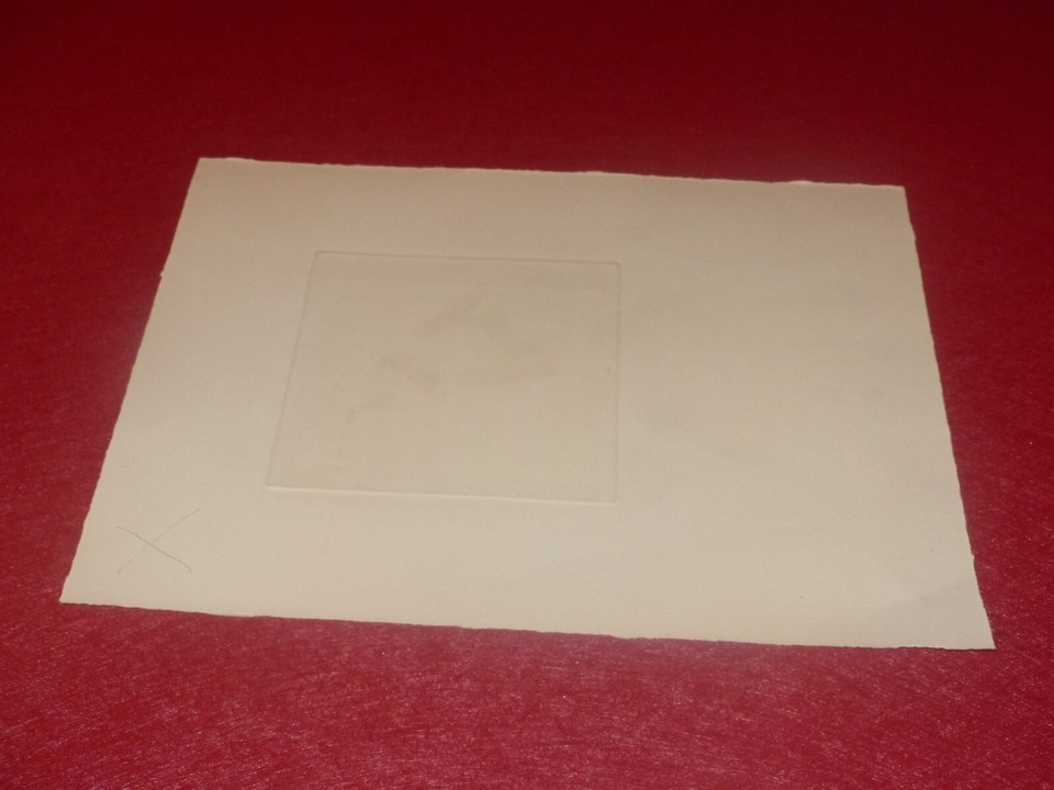 Rudy Cotton (Guatemala) Eau Forte Original Aquatint "Transposition II" 1983 P/A | eBay UK