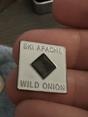 Ski Apache Wild Onion Souvenir Vintage Skiing Lapel Hat Pin New Mexico ...