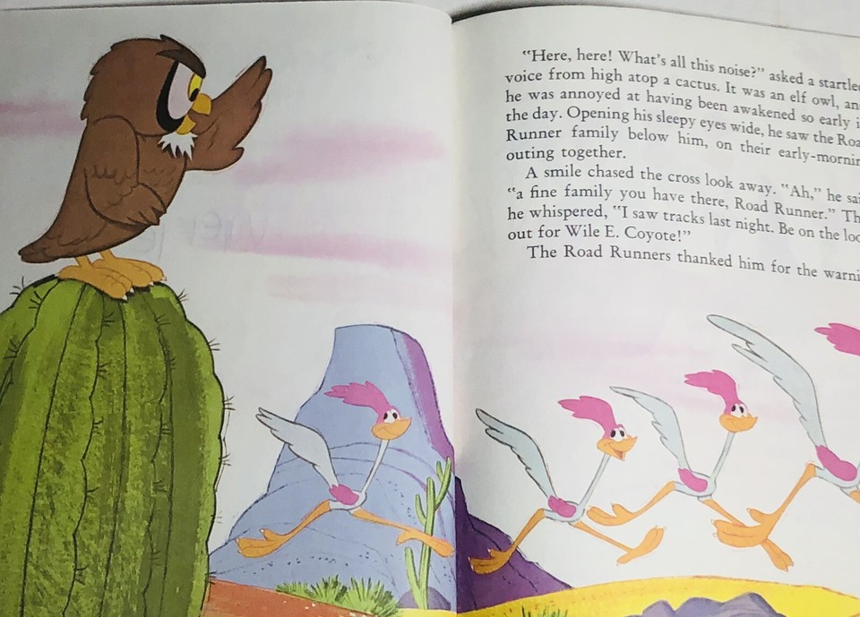 Vintage 1974 The Roadrunner A Very Scary Lesson Little Golden Children ...