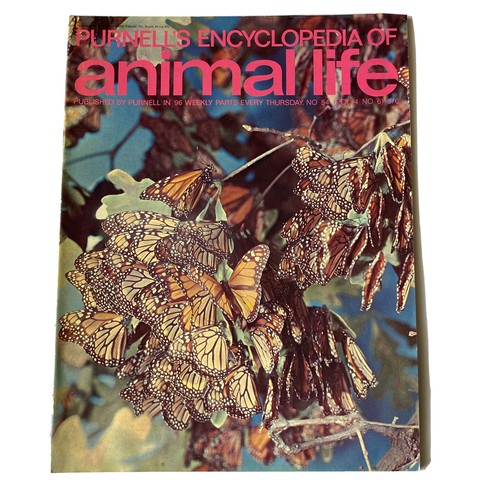 Purnell’s Encyclopedia Of Animal Life Magazine Volume 4 Number 6 Issue ...