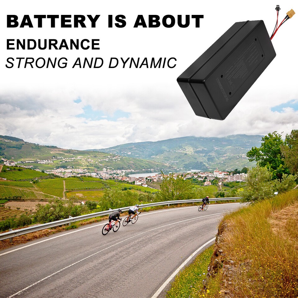 Jetson Bolt Pro Electric Bike Ebike li-Battery 36v 10AH 6Ah 2 wire ...