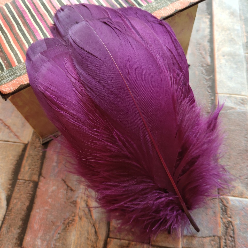 Wholesale 20-100 Pcs Pretty Natural Goose Feathers 12-18 cm/5-7 inches ...