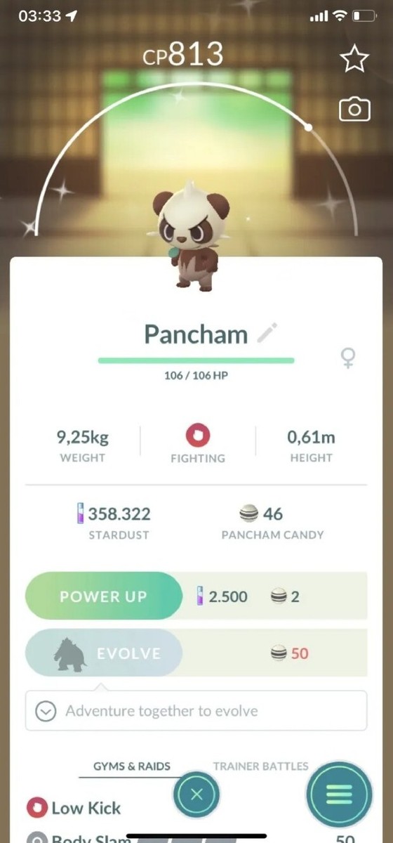 Shiny Pancham Pogo
