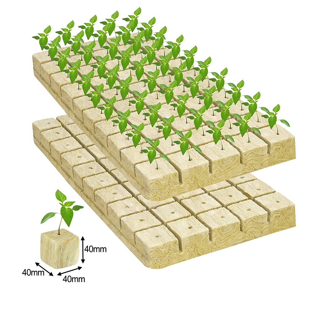 Nursery Block Sterile 40*40*40mm Non-toxic 30*30*40mm For Growing ...