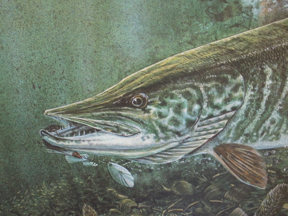 Muskie Print " Last Run Muskie" signed /number by Scott Zoellick | eBay