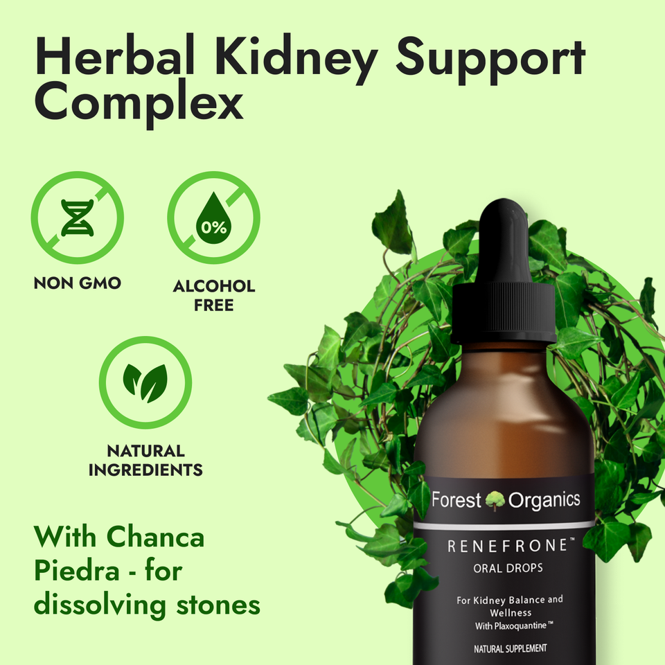 Kidney Health Support Supplement Kidney Detox Drops & Support Kidney ...