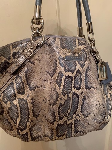 Authentic Coach Limited Edition Python Embossed Purse Light Blue Rare ...