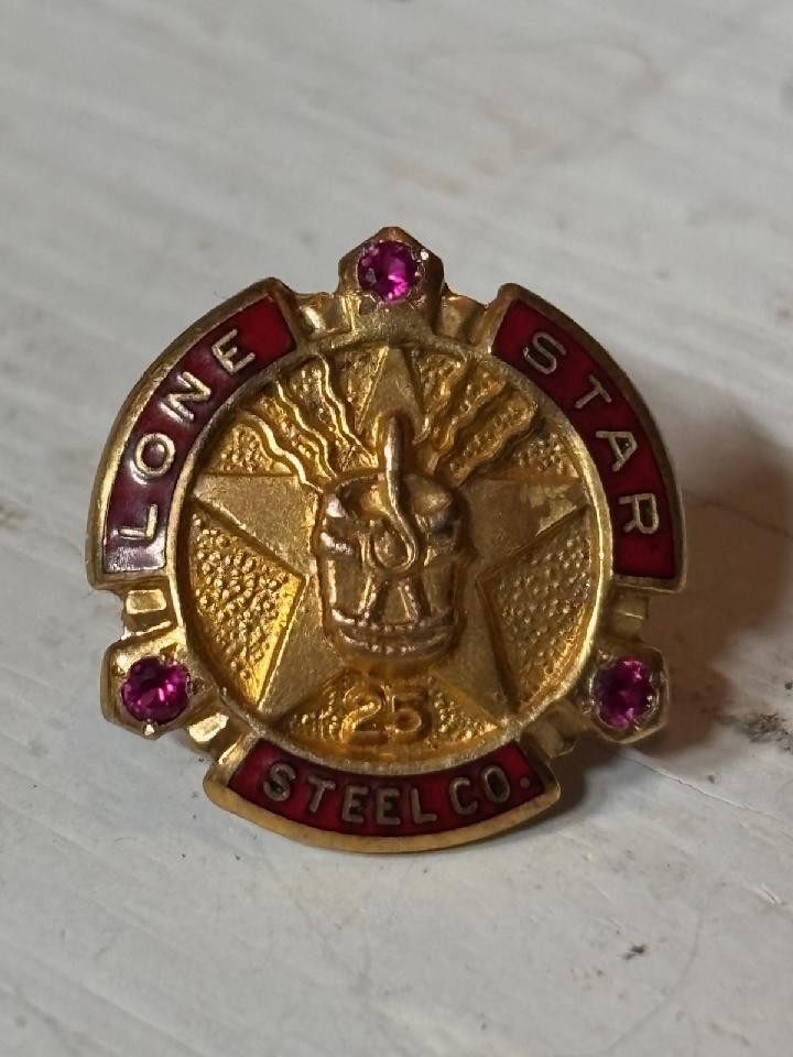 Employee Appreciation 25 Year Service Pin 10k Solid Gold, Ruby's LSS | eBay