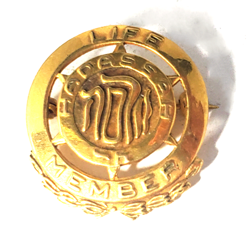 Vintage 10K YG *HADASSAH LIFE MEMBER* Pin Brooch Lot | eBay