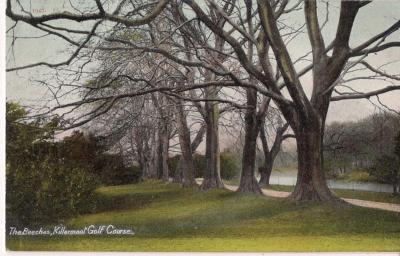The Beeches At Killermont Golf Course Bearsden England Postcard UK | eBay