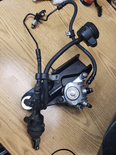 2004 Harley Sportster Complete Rear Brake Assembly. 3/4 Axle | eBay