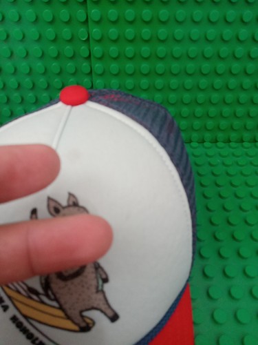 Patagonia Pataloha Honolulu Youth Hat Rope Mesh Trucker SnapBack ...