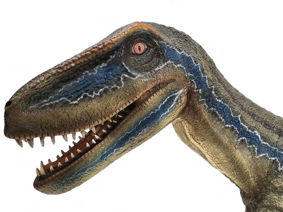 Blue Striped Raptor Statue Velociraptor Dinosaur Large Dino 11FT Indoor ...
