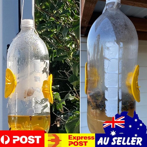 10pcs Flying Insects Funnel Trap Non-toxic Wasp Killer Catcher Pest ...