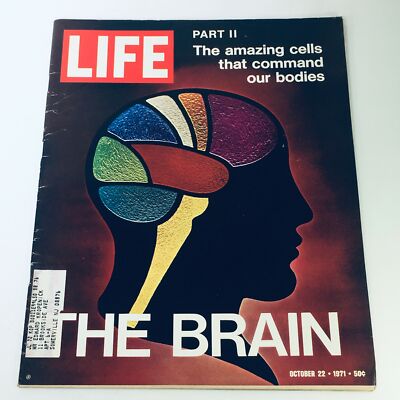 VTG Life Magazine December 22 1971 - The Brain and The Amazing Cells ...