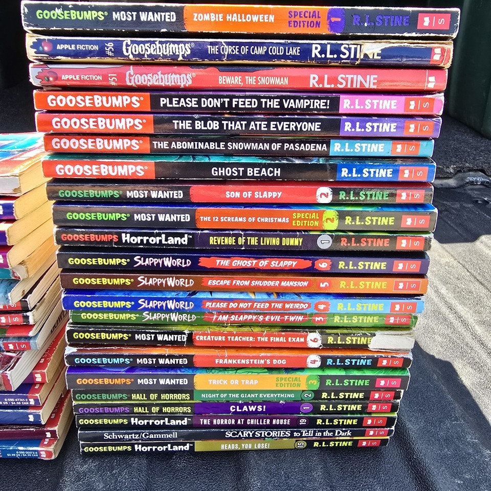 Goosebumps Lot 32 Books - Mix of VTG 90s, Horrorland, Hall of Horrors ...
