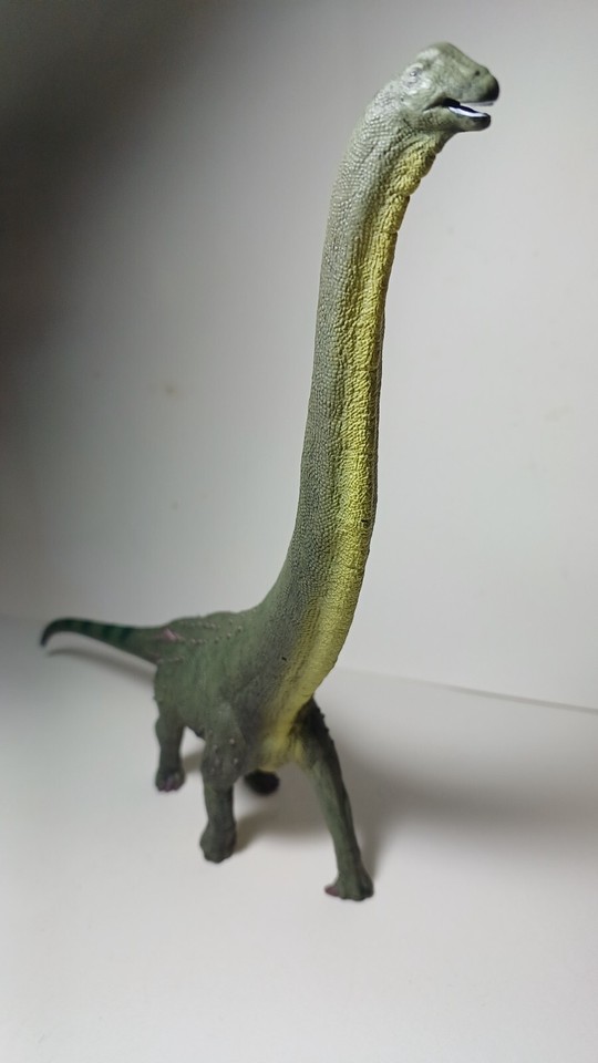 2024 NEW Collecta Dinosa Toy / Figure Dreadnoughtus - Deluxe 1:100 ...