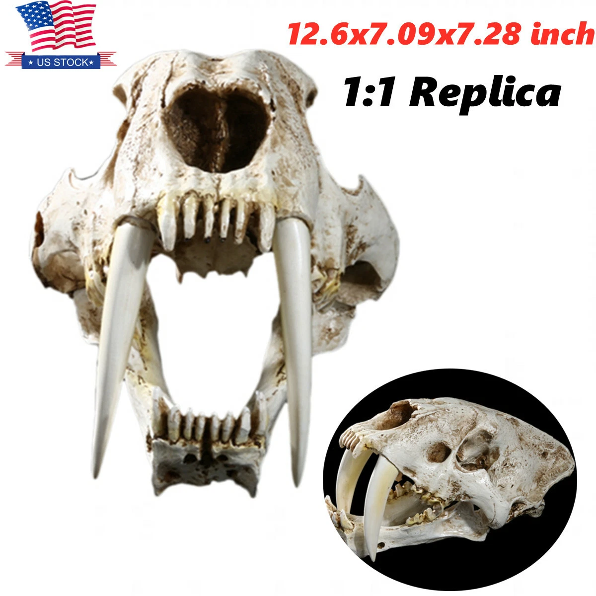 Saber Toothed Animals